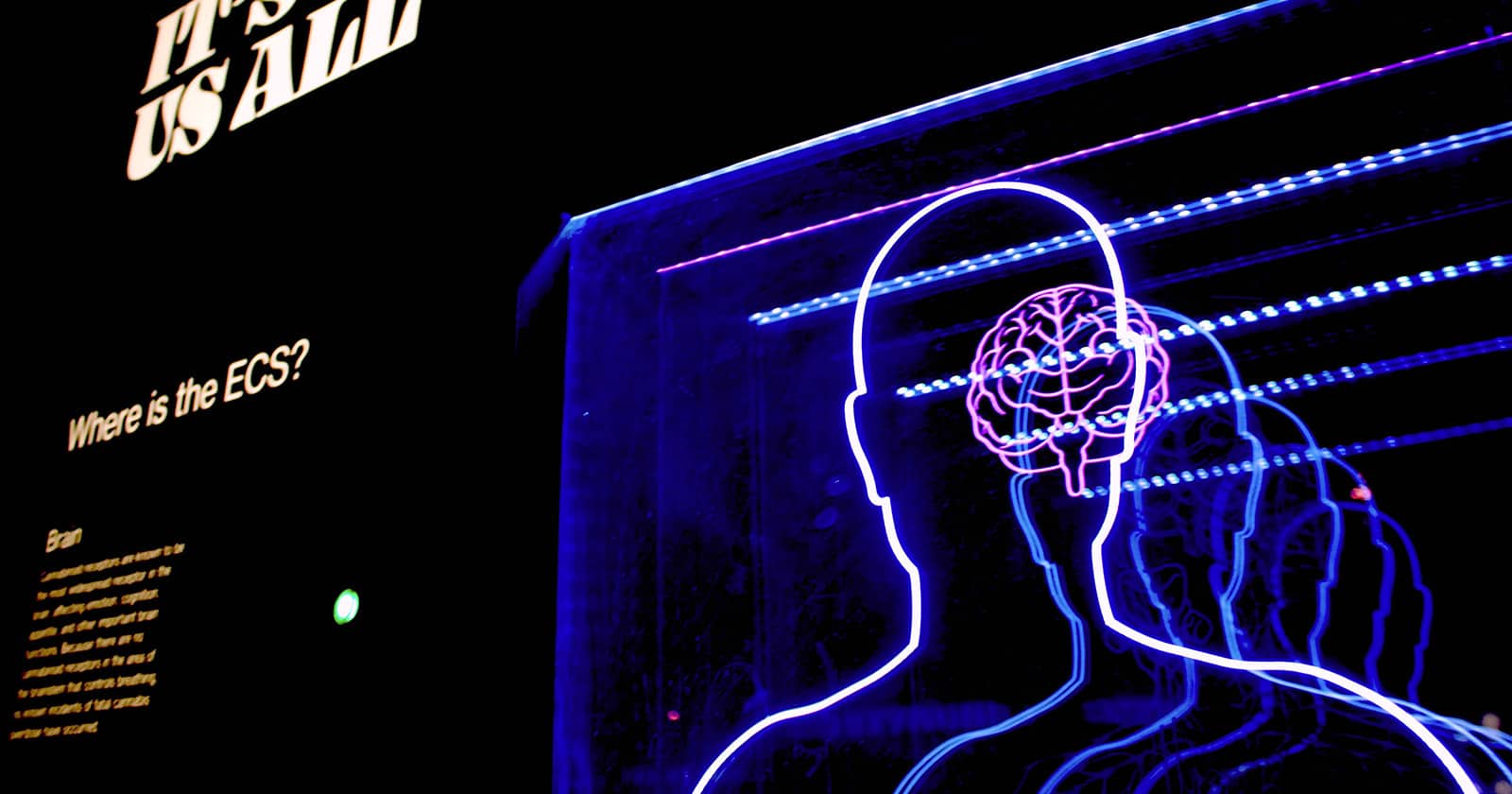 Limbic Map & Limbic Types: Kunden verstehen | growganic